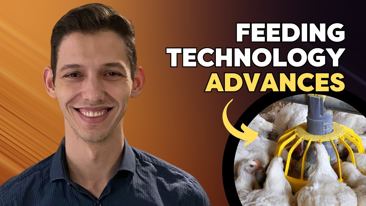 Thiago Noetzold Precision Feeding In Broiler Breeders Youtube