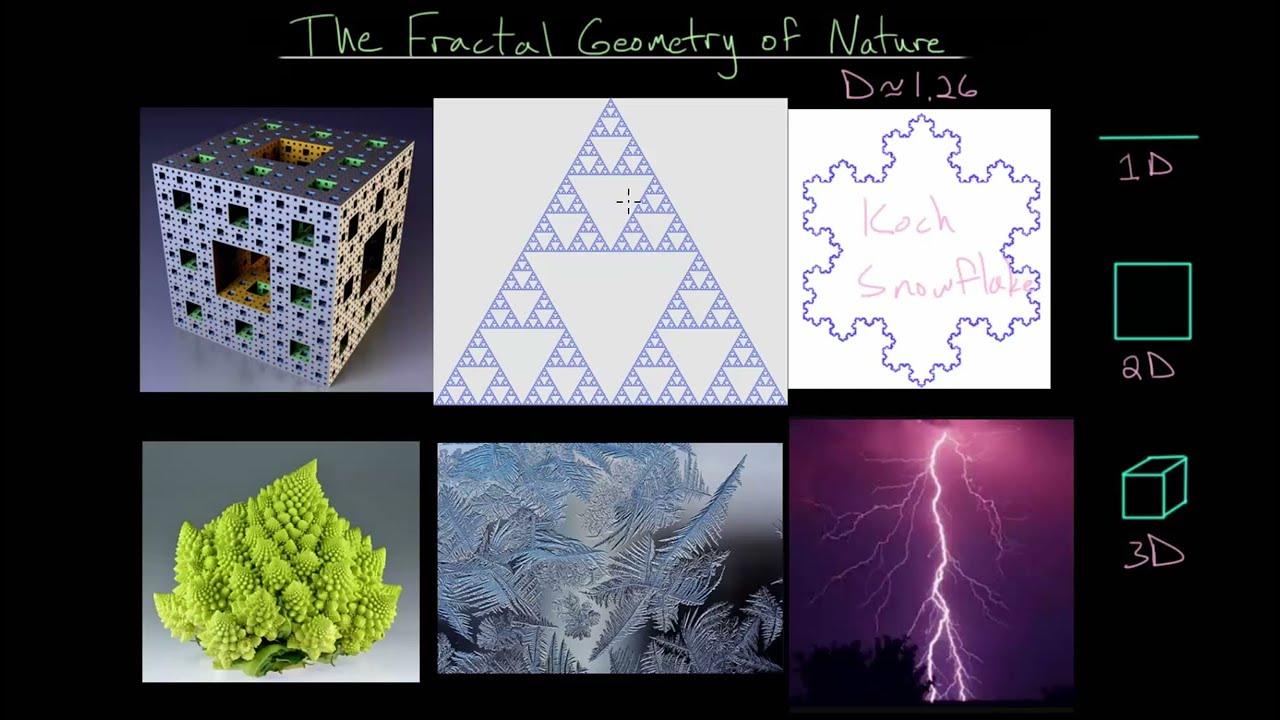 Fractals In Nature Fractals Math Is Written In The Leaves
