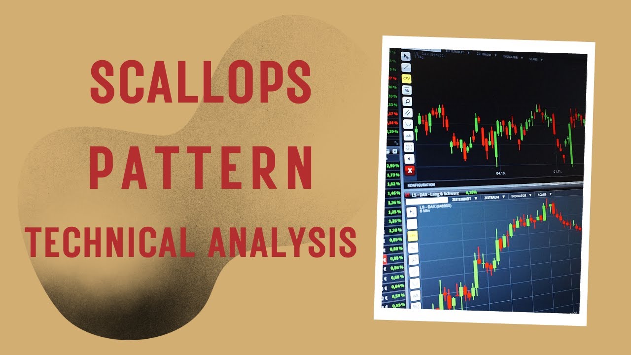 Scallops Price Pattern At Lauren Blackwell Blog