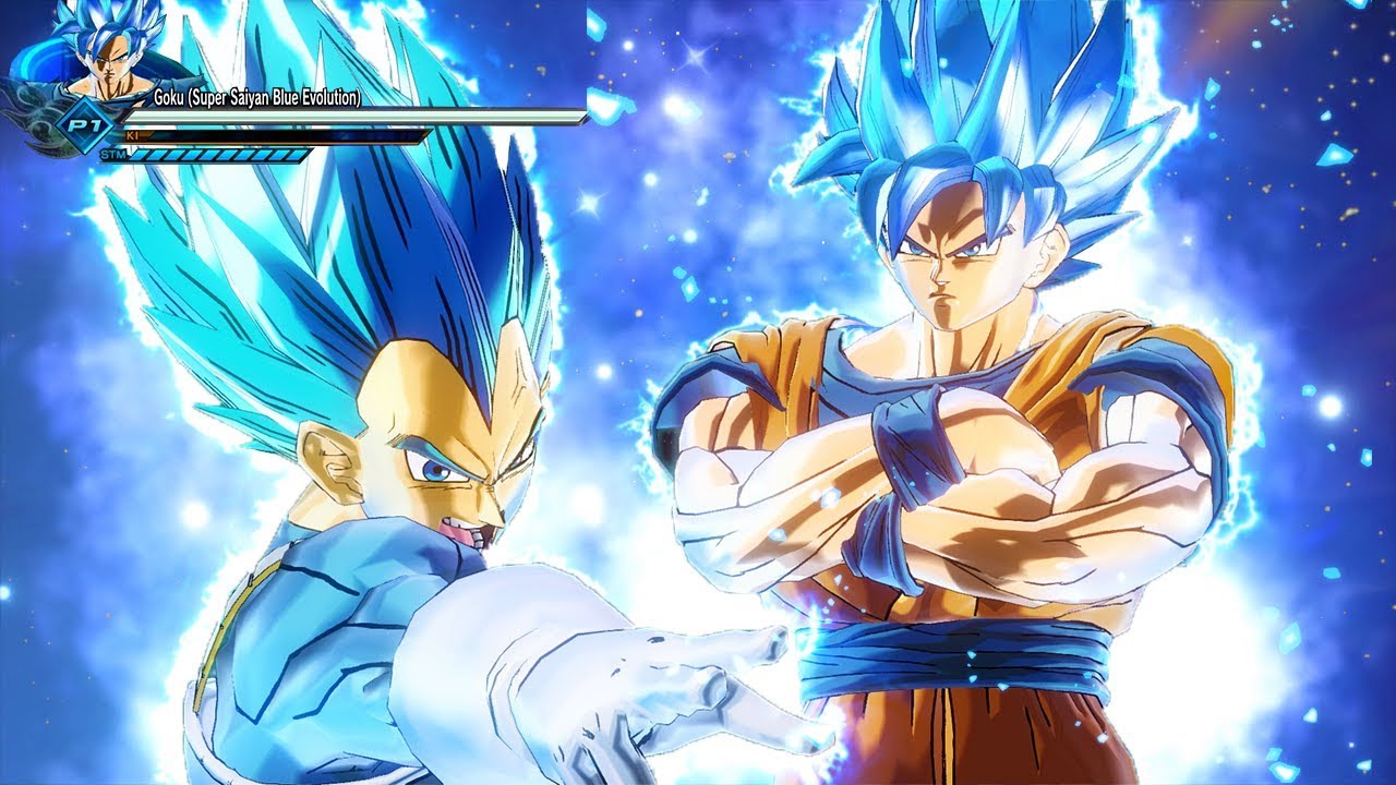 What Does Goku Go Super Saiyan Blue Evolution Infoupdate Org