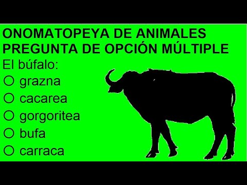 Onomatopeya De Animales El Búfalo Youtube