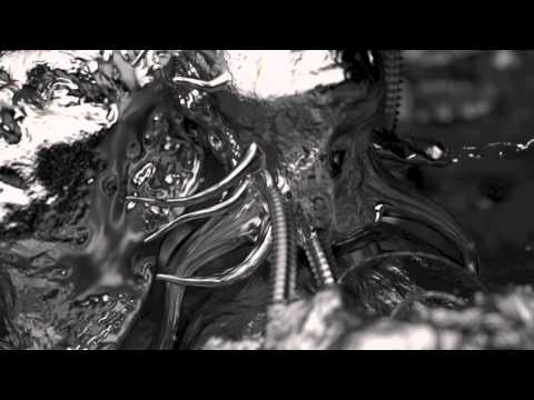 Front Line Assembly Echoes Releases Discogs