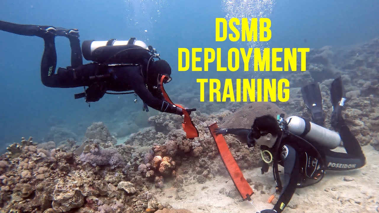 Real World Scuba Dsmb Deployment Training Practice Youtube