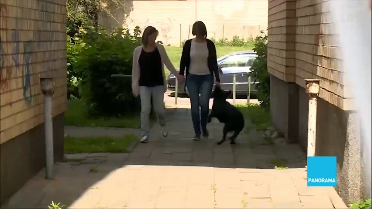 News Ident Lithuania Lrt Televizija Lrt Youtube