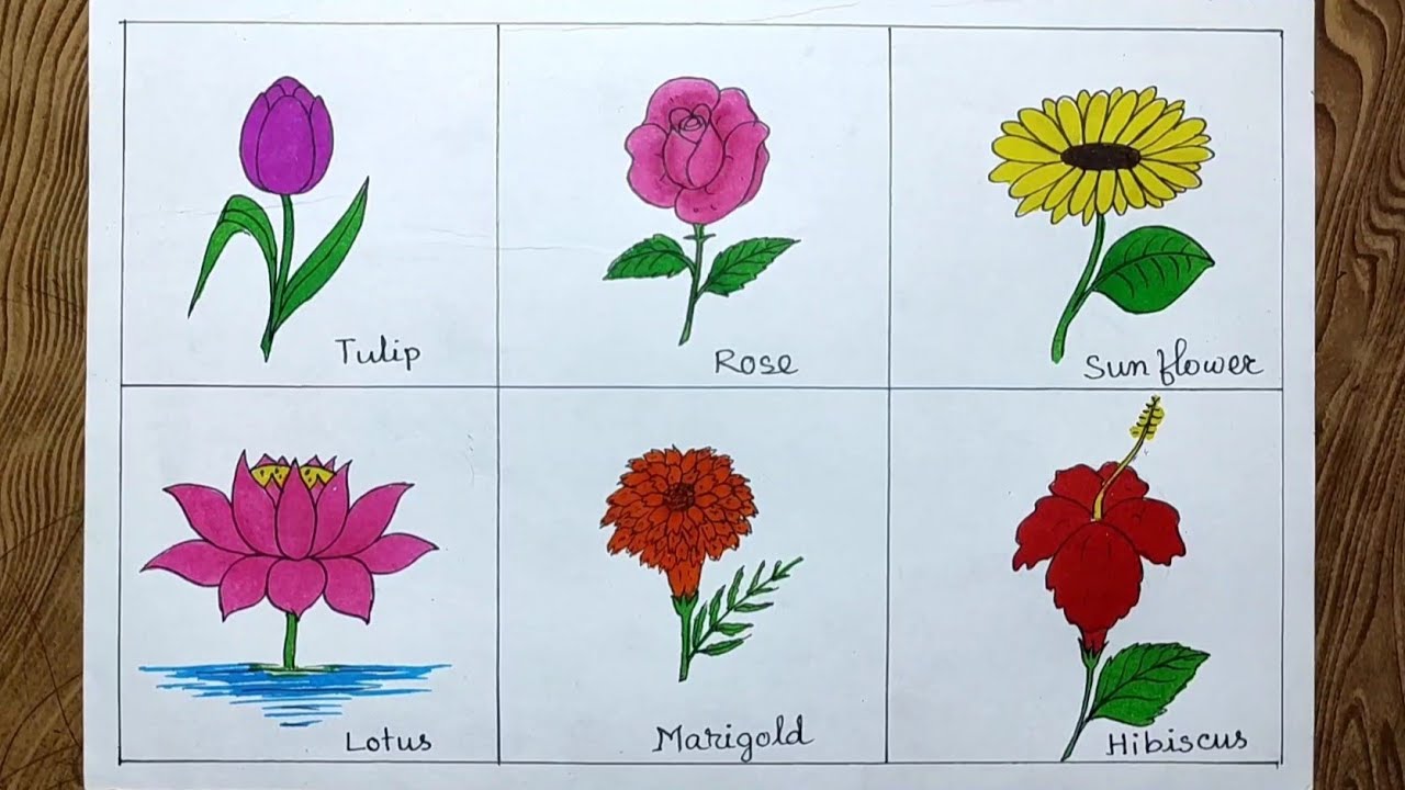 How To Draw Different Flowers