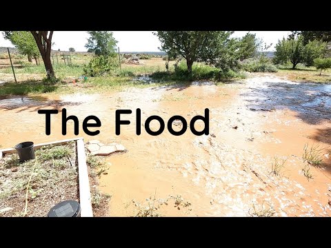 The Flood Youtube