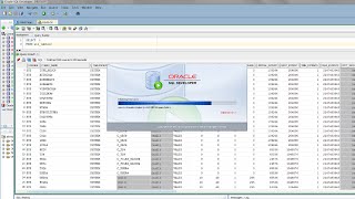 How To Download And Install Oracle 19c Database Sql Developer Running