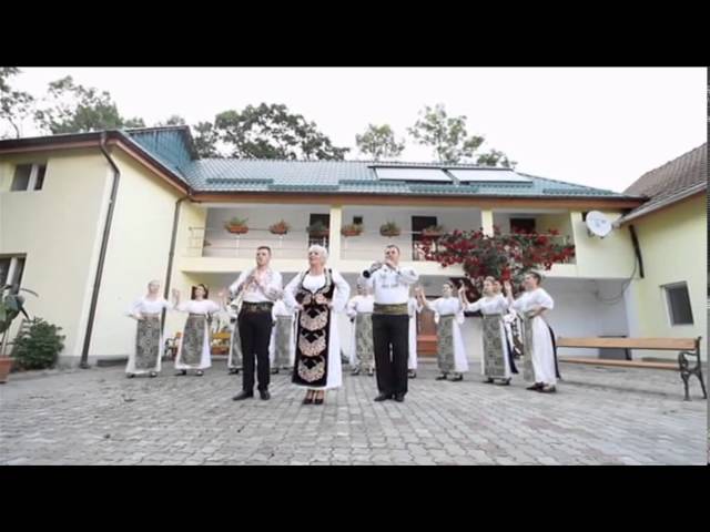 Download Florica Tomoioaga si Cosmin Marta - Căte zile-s într-un an