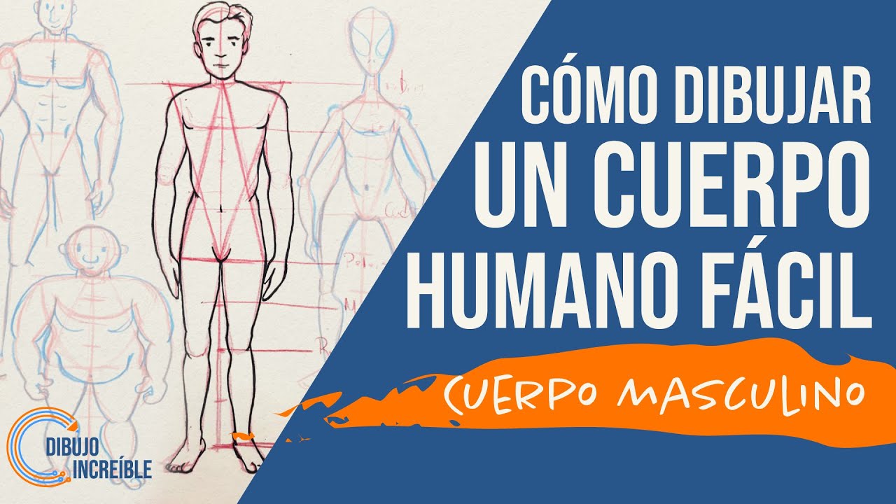 Dibujo Del Cuerpo Humano Masculino