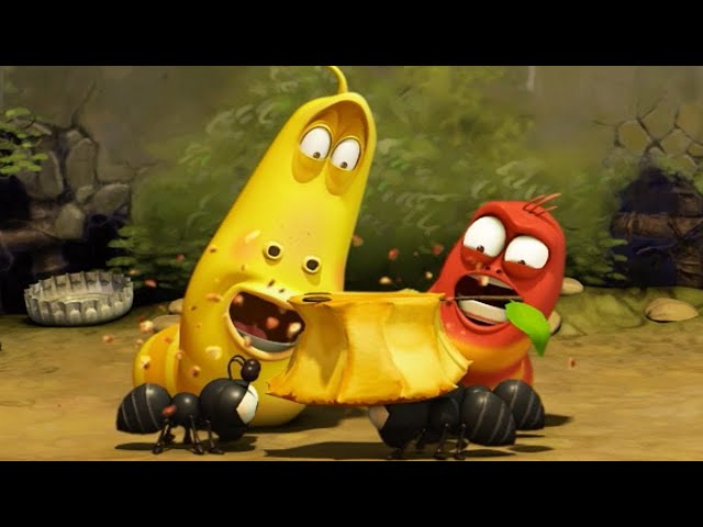Larva Ants Cartoons For Children Larva Full Episodes Cartoons