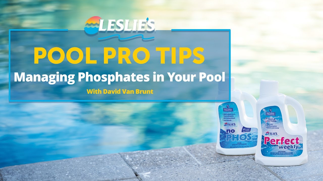 Pool Pro Tips Managing Phosphates In Your Pool W Spl Leslie S Youtube