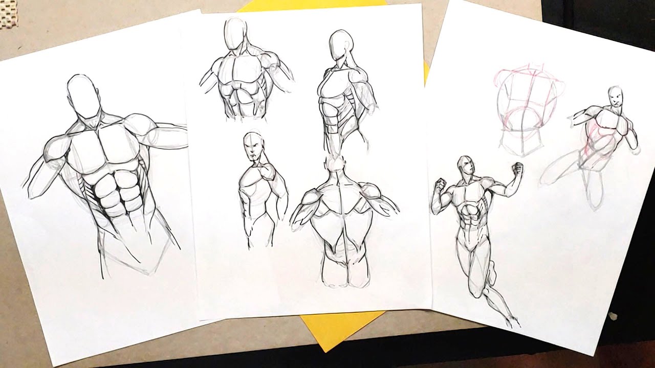 Drawing The Torso From Different Angles Request Youtube