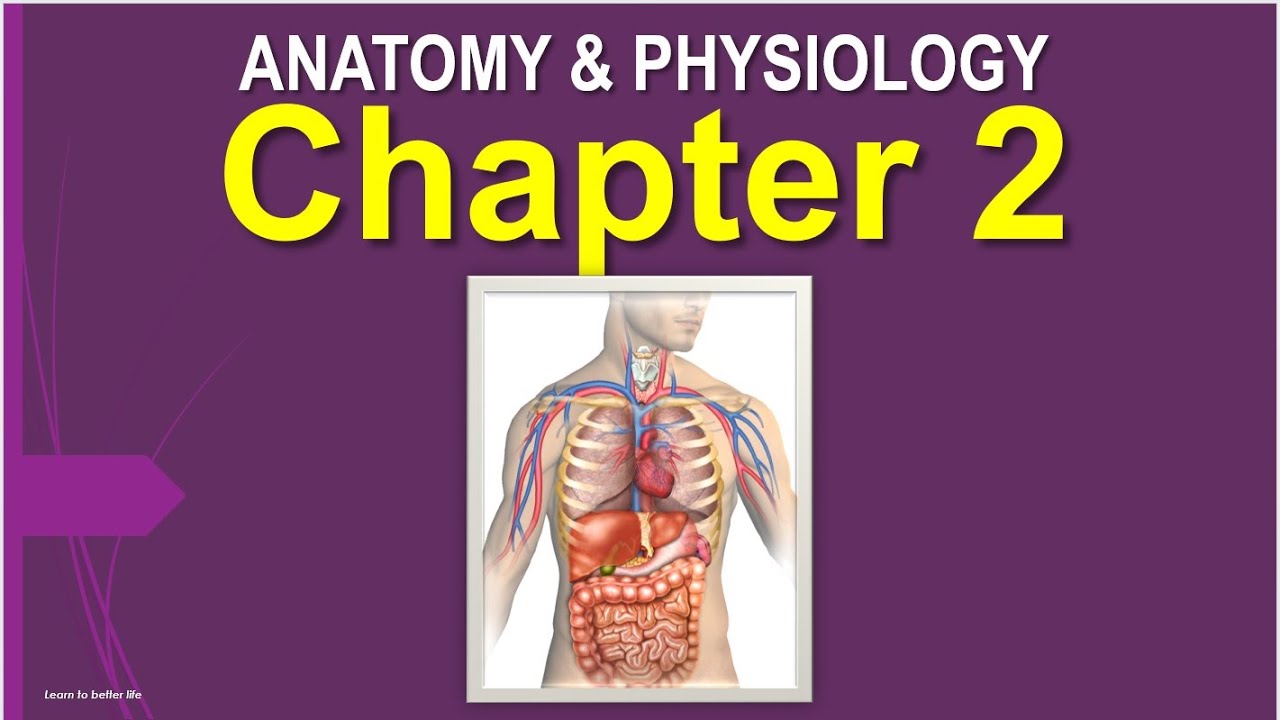 Introduction To Anatomy Physiology Chapter 2 Cells And Tissues
