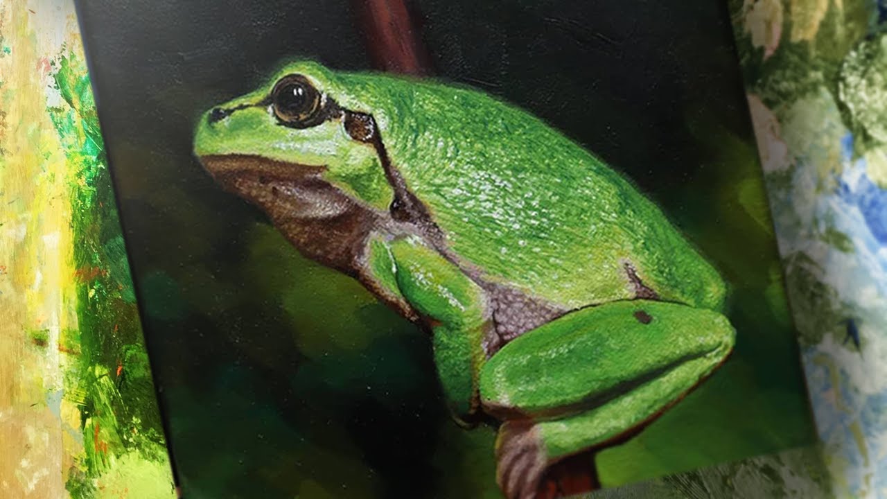 Oil Painting Time Lapse â Mediterranean Green Tree Frog Youtube