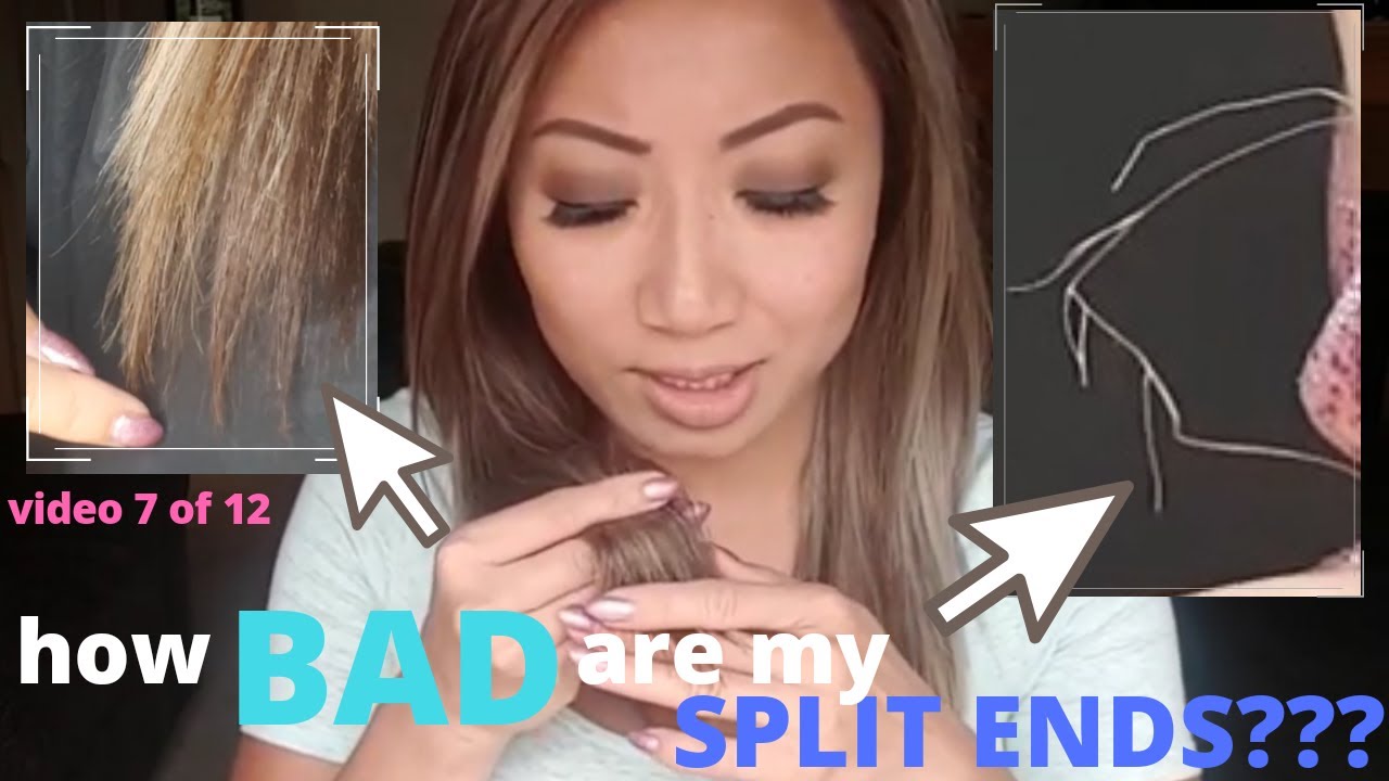 Really Bad Split Ends