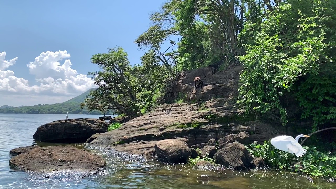 Isla De Los Monos Catemaco Veracruz Youtube