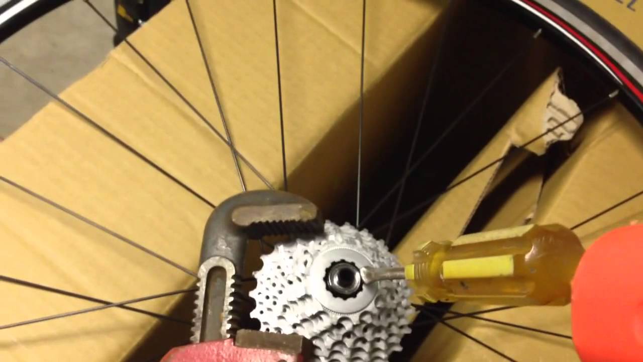 How To Remove Bike Cassette Without Special Tools Improved Youtube