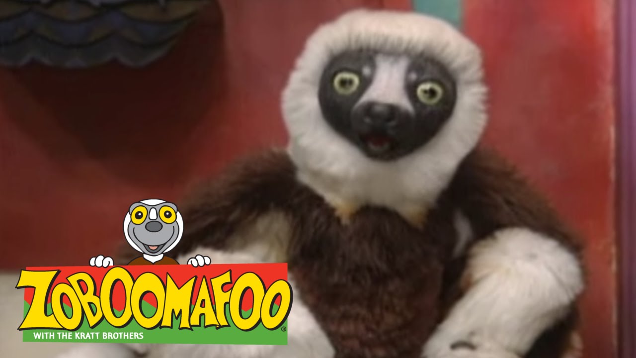 Water Creatures Zoboomafoo At Barbara Moser Blog