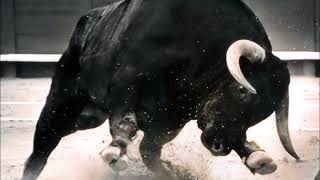 Imfez Emnyama Ft Ntaba Yasedubai Nomalizwi Njabulo Bright Vundla Mp3 ...