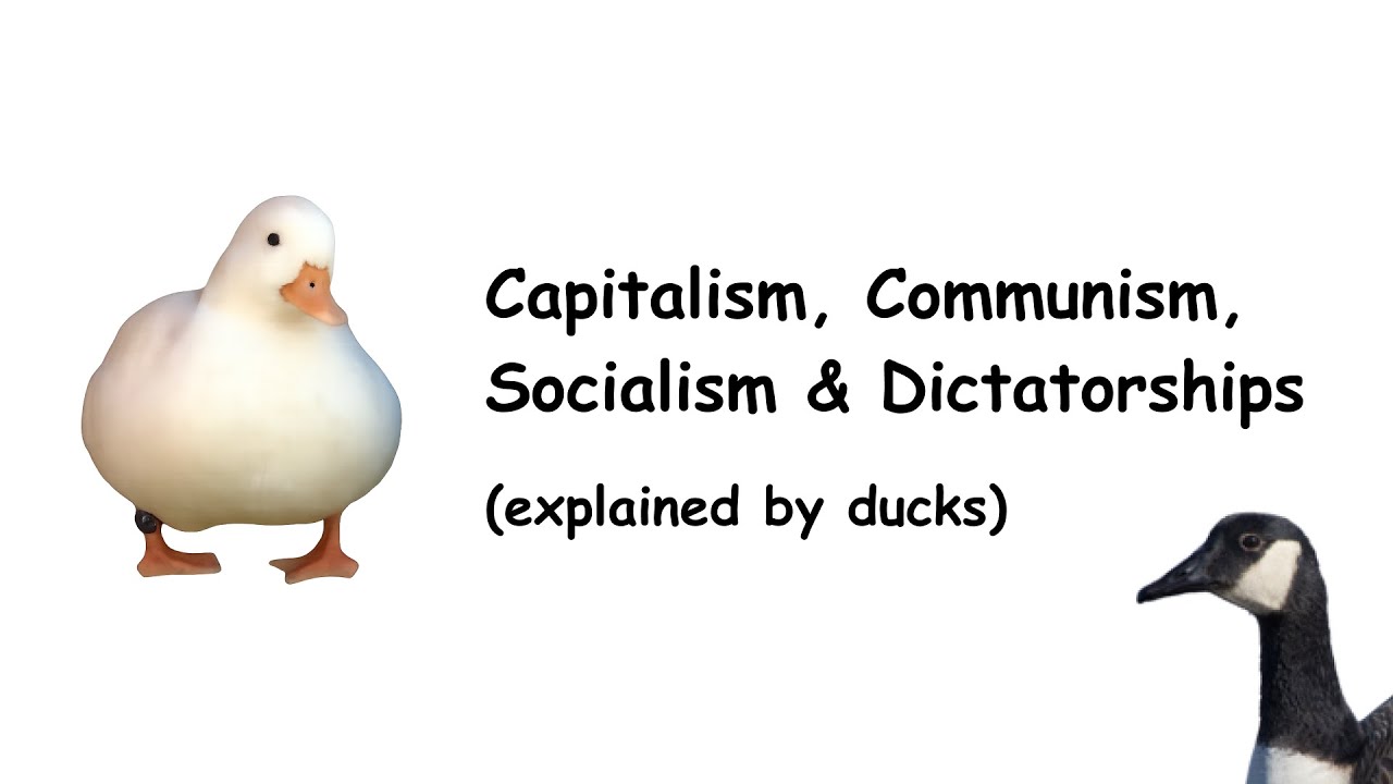 Capitalism Communism Socialism Dictatorships Explained By Ducks