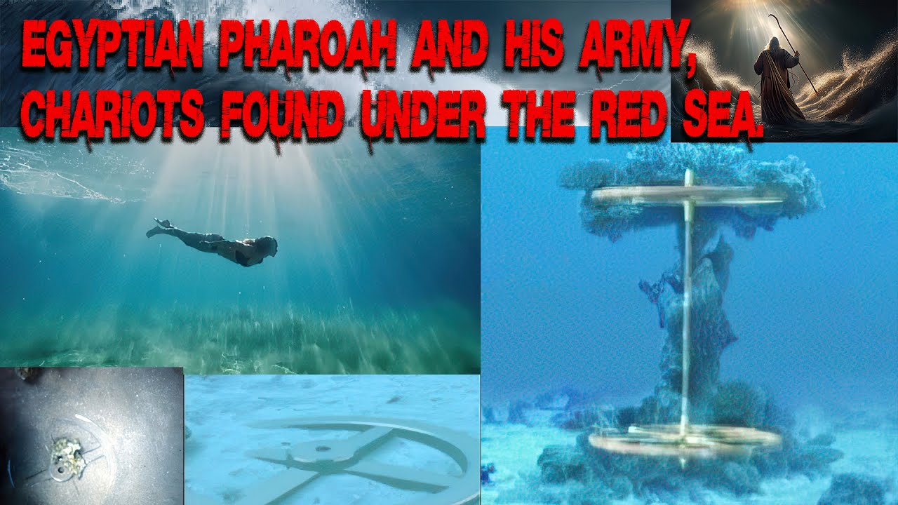 Discoveries Egyptian Pharaoh S Army And Chariots Found Under The Red