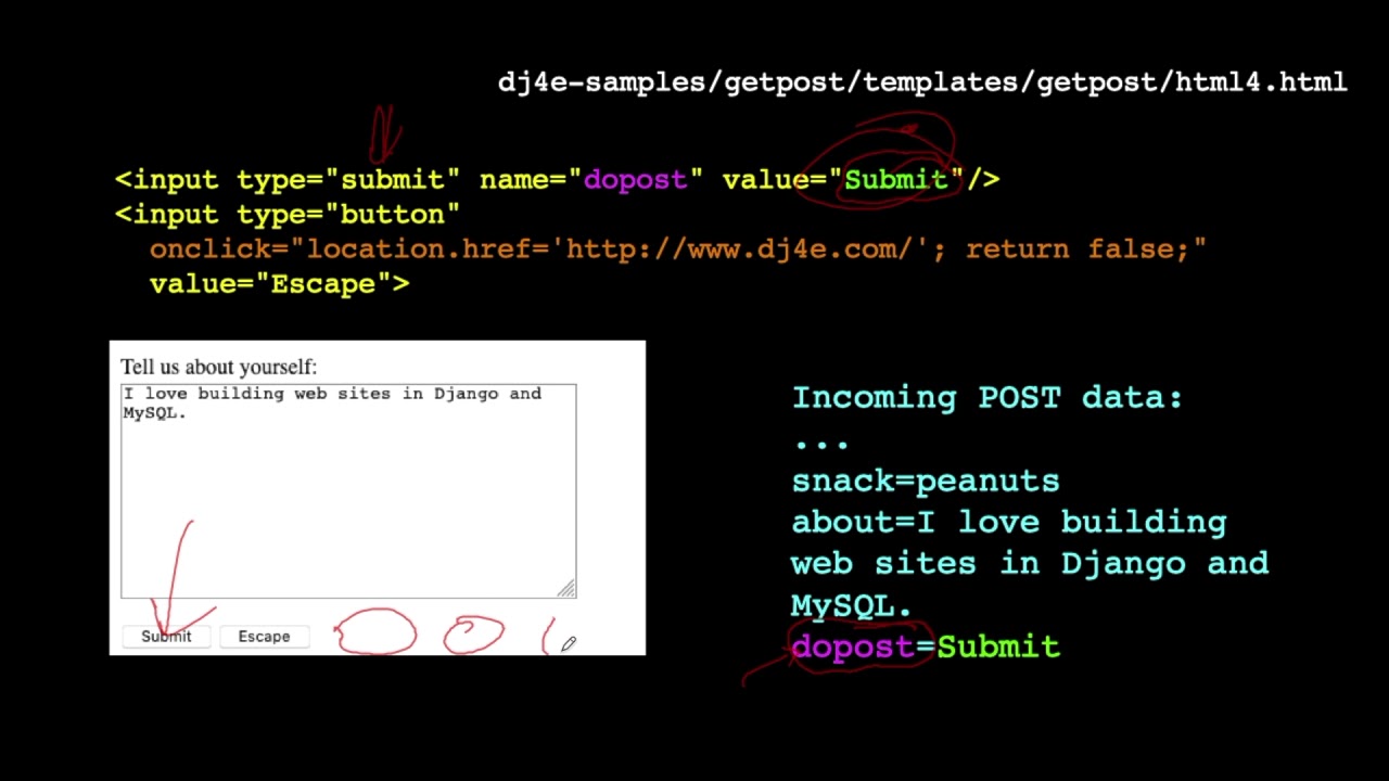 Building Html Forms Youtube