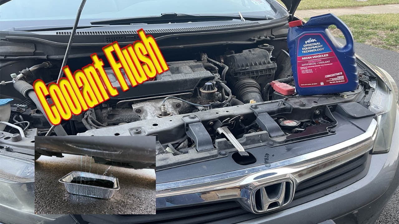 Tacoma Engine Coolant Flush At Monique Wilkerson Blog
