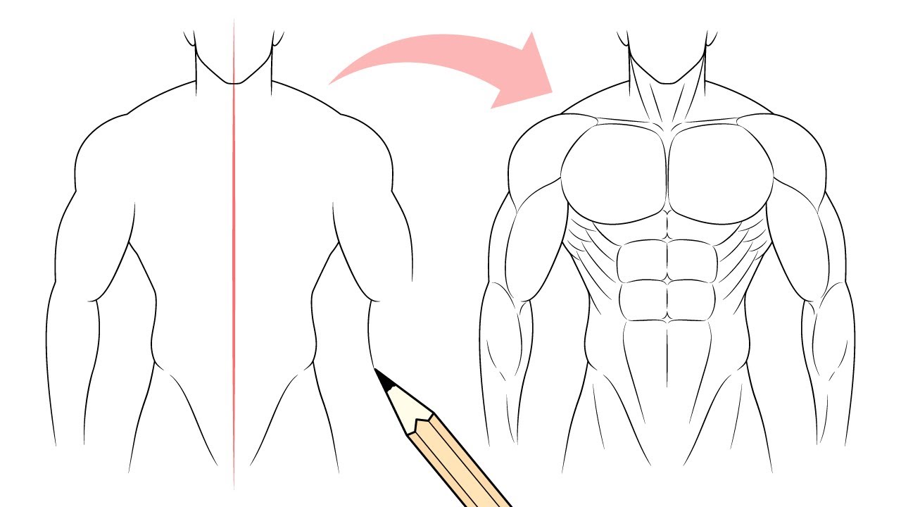 How To Draw Muscles Step By Step