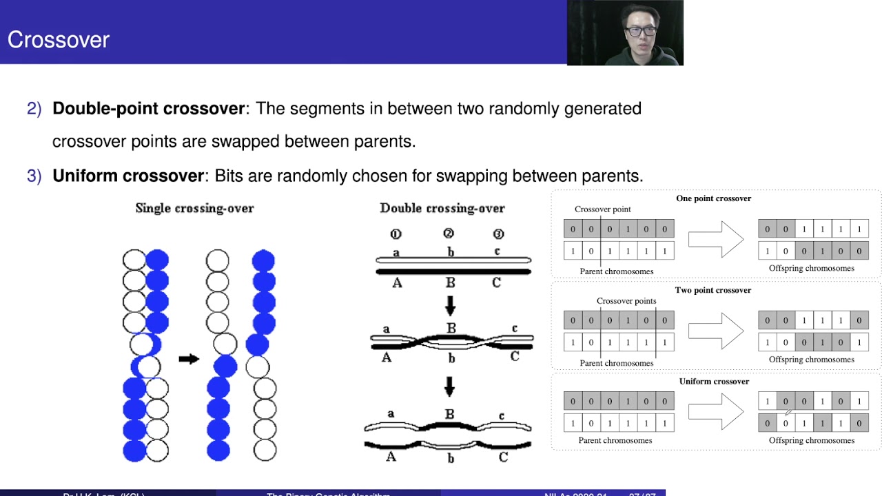 Binary Genetic Algorithm Part 5 Crossover And Mutation Operations