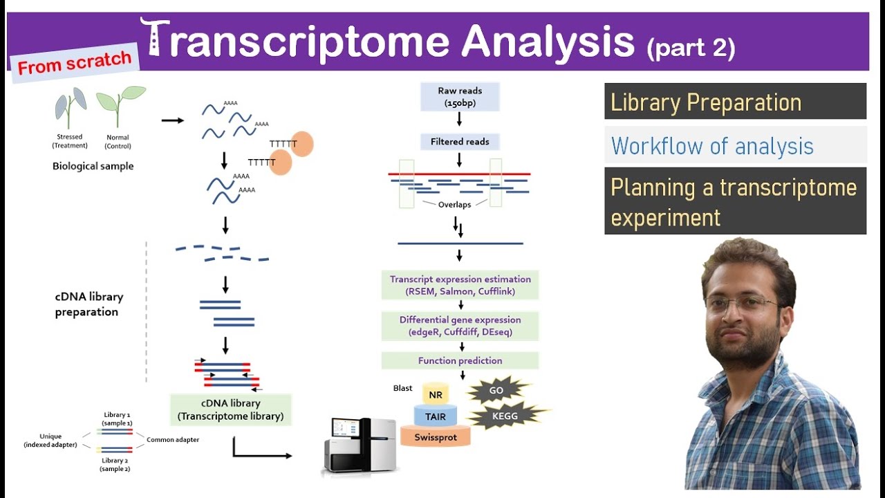 Transcriptome Analysis Learn Library Preparation And Data Analysis