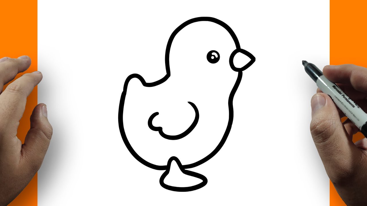 Dibujo De Pollo Facil Manual De Avicultura