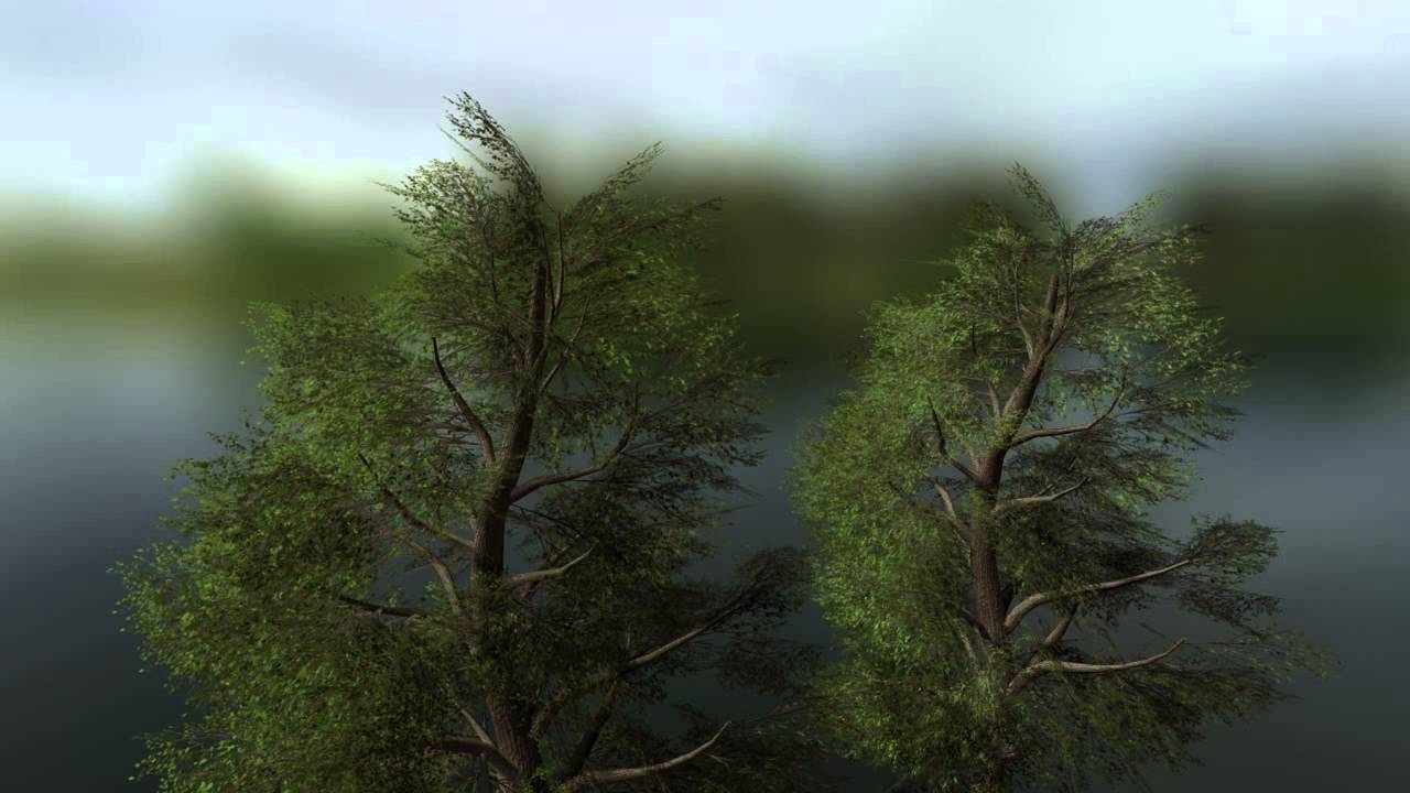 Procedural Tree Animation Youtube