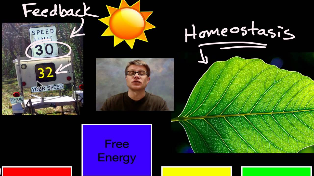 Biology Youtube