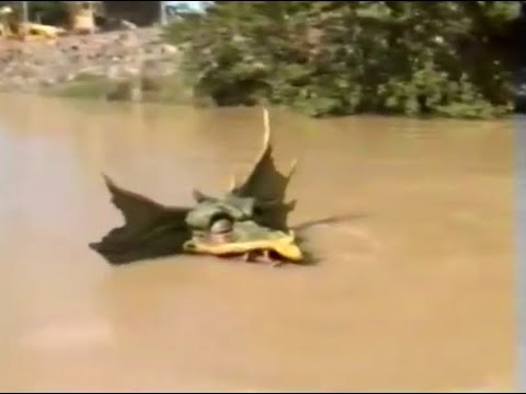 All Bunyip Animatronics Great Source For Footage Youtube
