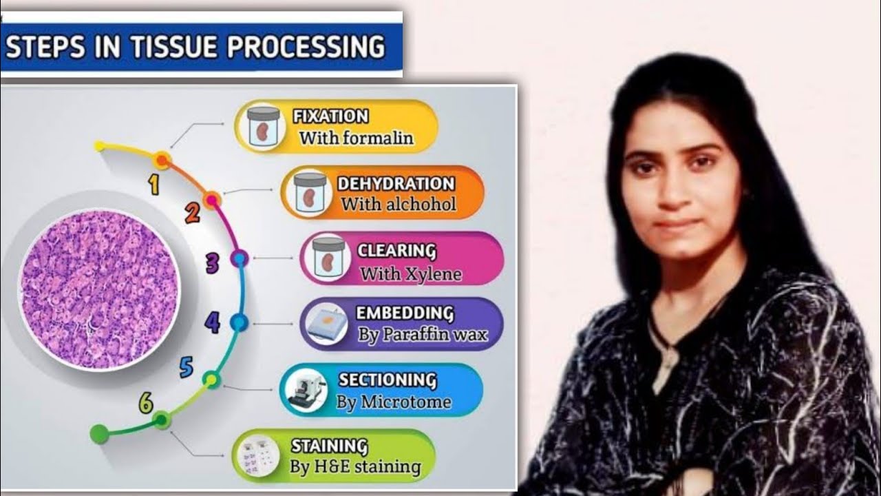 Steps By Steps Tissue Processing Fixation Dehydration Embedding
