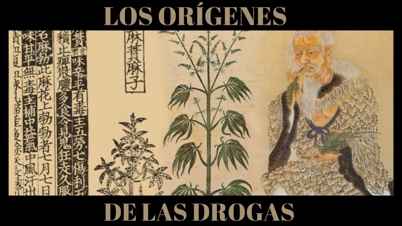 Cuál Es El Origen De Las Drogas Las Drogas En La Antigüedad