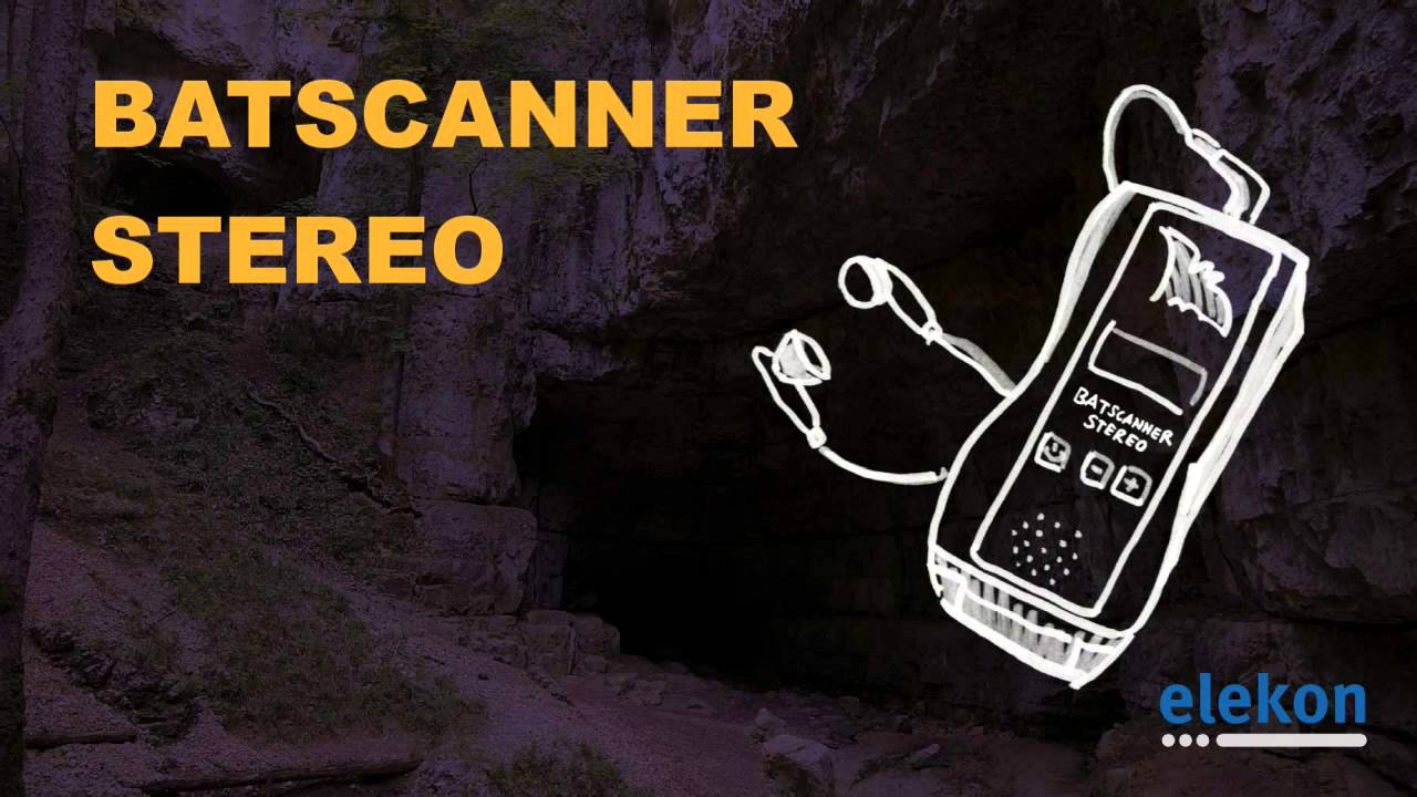 Batscanner Stereo Stereo Bat Detector Audio Demo Youtube