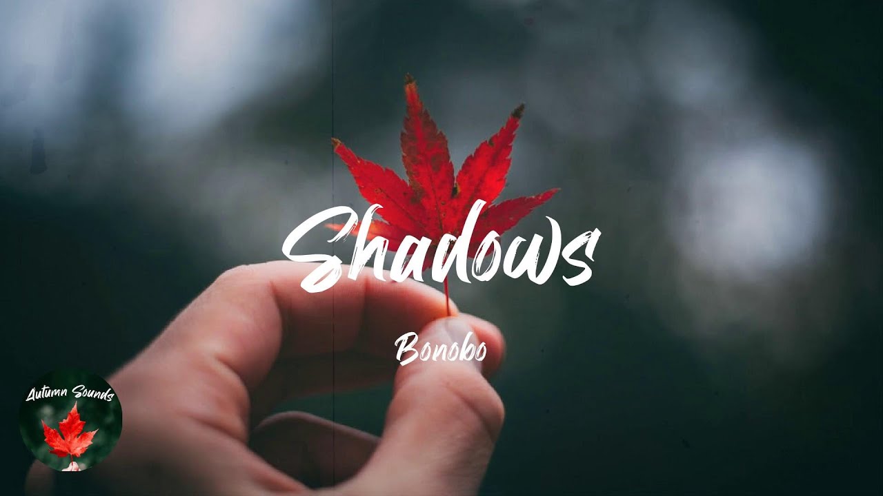 Bonobo Shadows Lyric Video Youtube