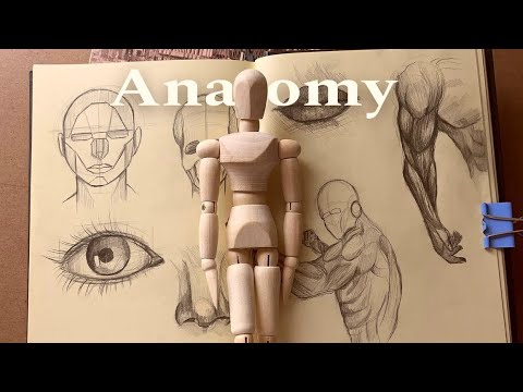 How I Practice Drawing Anatomy Figure Studies Youtube