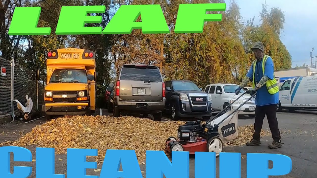 Blowing Leaves Around Cars рџ Youtube
