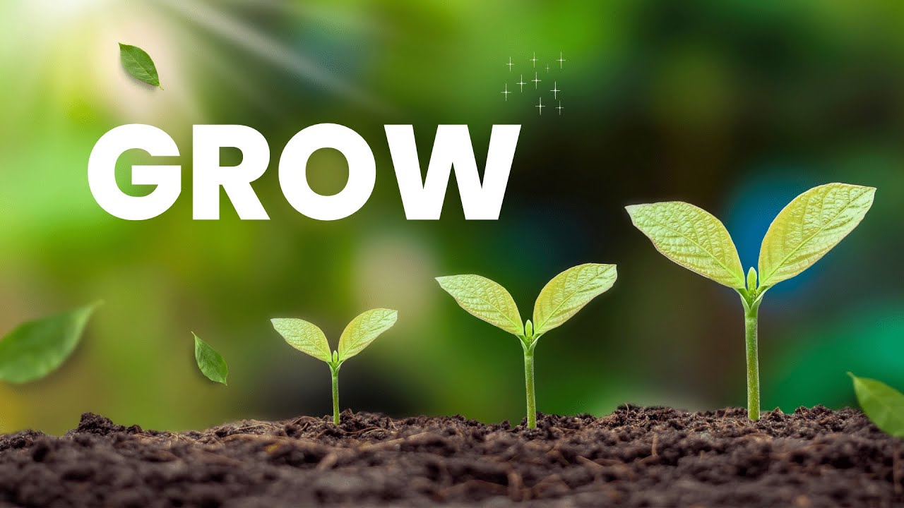 Grow Week 2 Youtube
