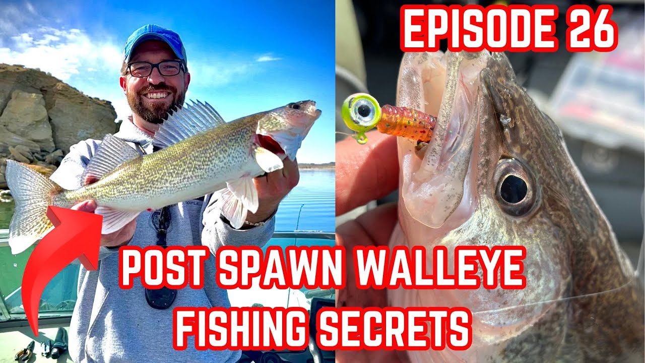 Post Spawn Spring Walleye Secrets Walleye Fishing Tips And Tricks