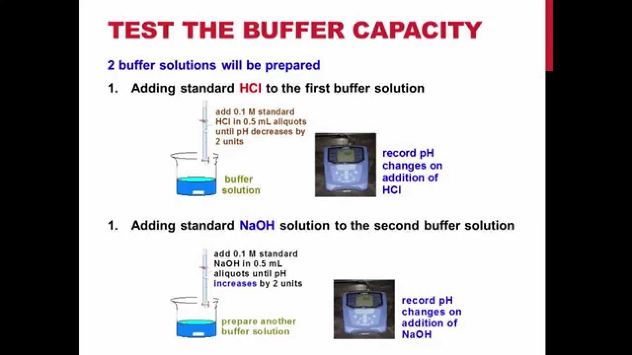 Buffer Lab Procedure At Emil Bentley Blog