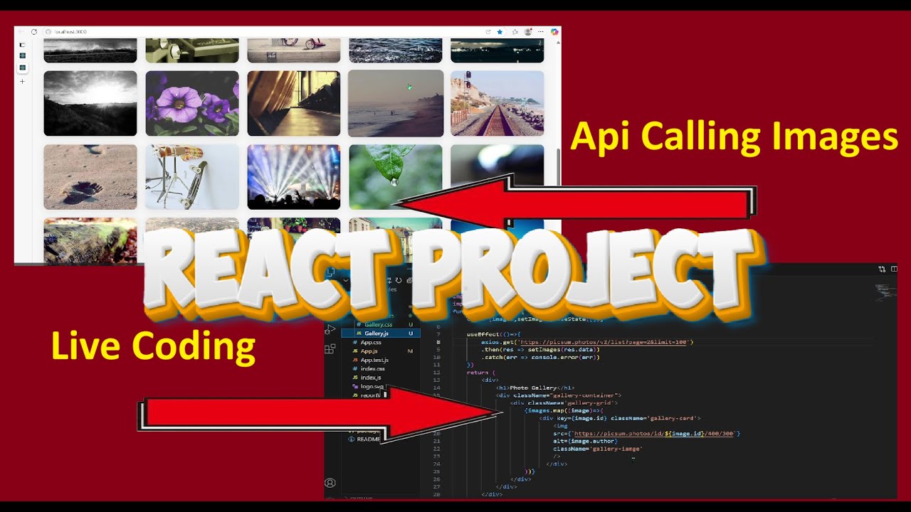 React Image Gallery With Api Integration Axios Lorem Picsum