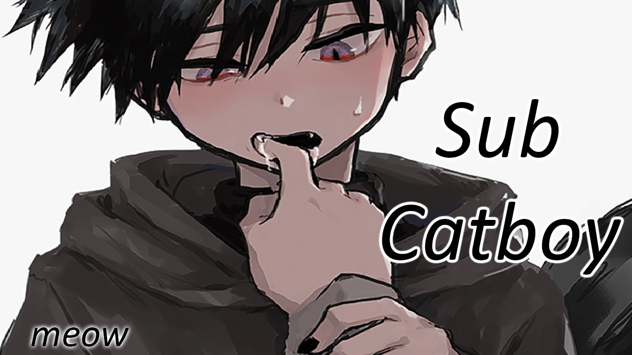Anime Cat Boy