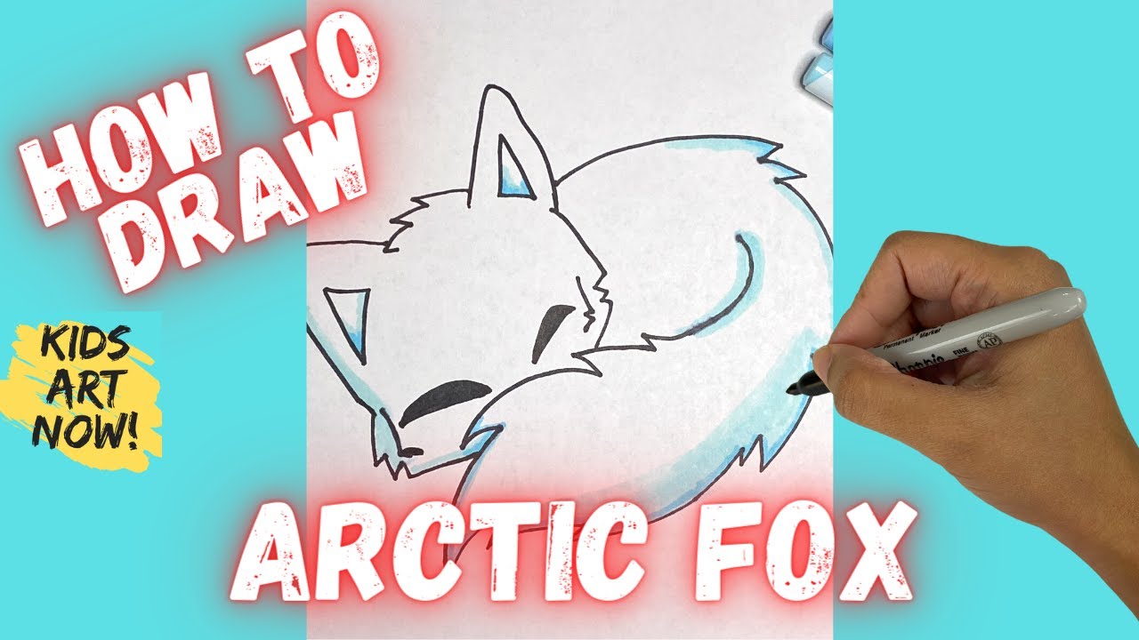 How To Draw A Arctic Fox Easy Draw This Fox By Following This Drawing