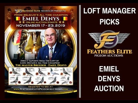 Loft Manager Picks Emiel Denys Belgium 2019 Youtube