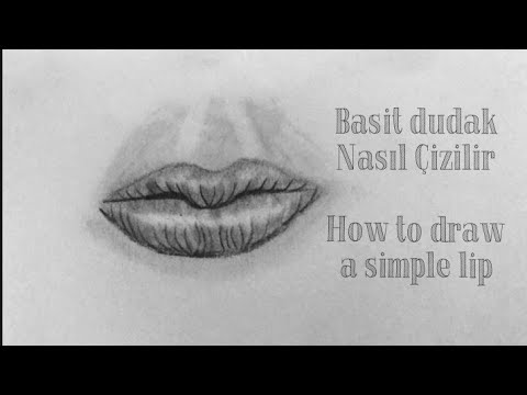 Basit Dudak çizimi Simple Lip Drawing Youtube