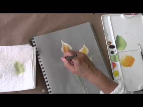 Calla Lily Youtube