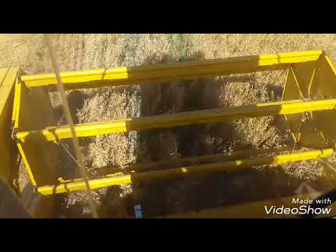 Kauran Puintia Youtube